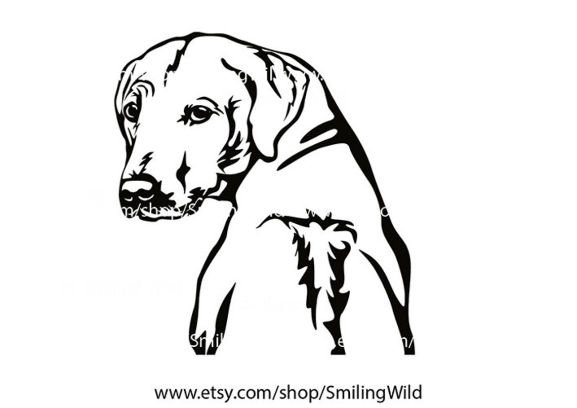 Rhodesian Ridgeback Svg /05/ Vector Graphic Art Sitting Dog - Etsy