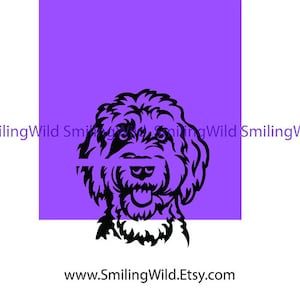 Groodle Dog Svg Head Vector Graphic Clip Art Design, Goldendoodle ...