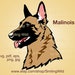 Malinois Portrait Svg Clipart Dog Vector Graphic Art Malinois - Etsy
