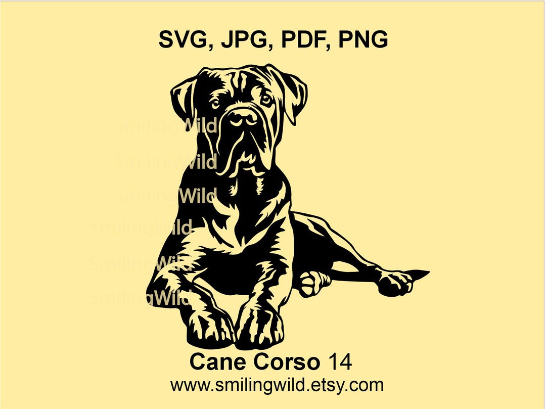 Cane Corso Dog SVG & PNG Clipart Lying Vector Portrait - Realistic ...