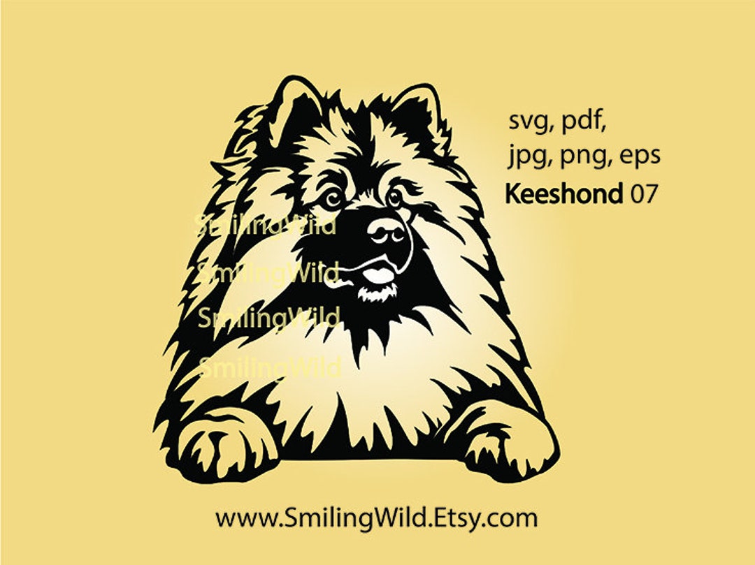 Keeshond Svg Clip Art Vector Graphic Art Dog Portrait, Peeking Keeshond ...