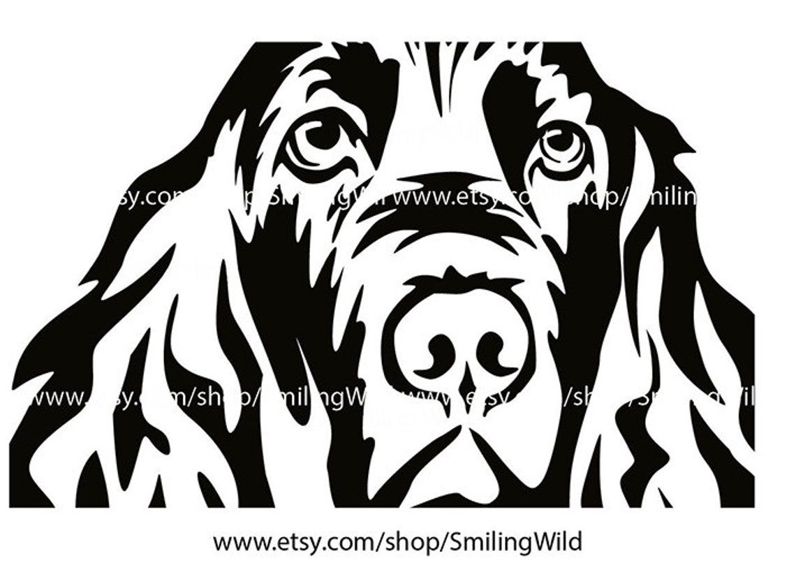 Field Spaniel Svg Vector Graphic Portrait Dog Svg Art Field - Etsy