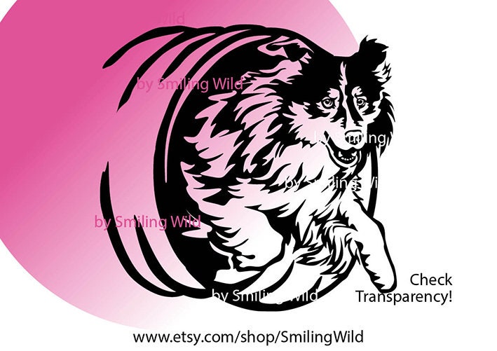Australian Shepherd Svg Agility Cut File Digital Design - Etsy UK