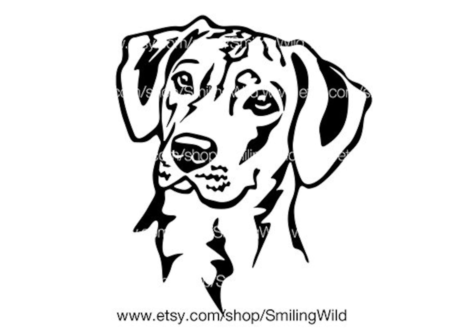 Rhodesian Ridgeback Svg Clipart Portrait Vector Grpahic Art - Etsy UK