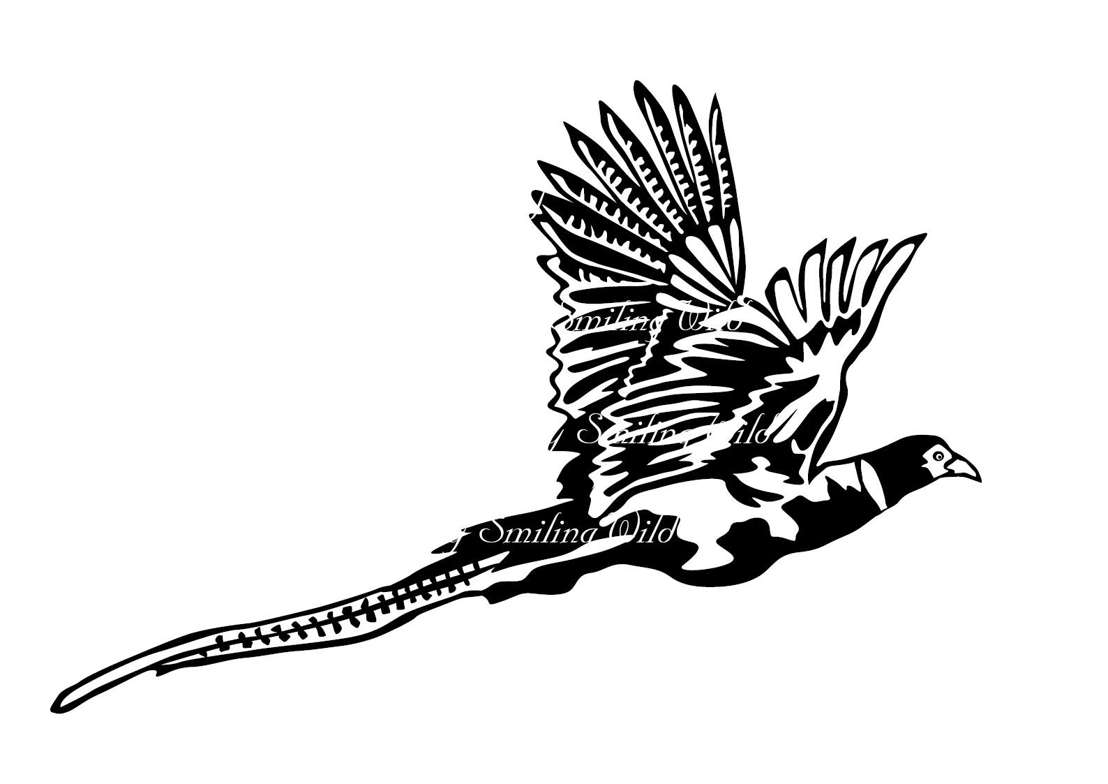 Bird Pheasant Clipart Vector Graphic Art Artwork Pheasant Svg - Etsy