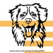 Toller Dog Clipart Svg Hunting Dog Cut File Portrait Nova Scotia Duck ...