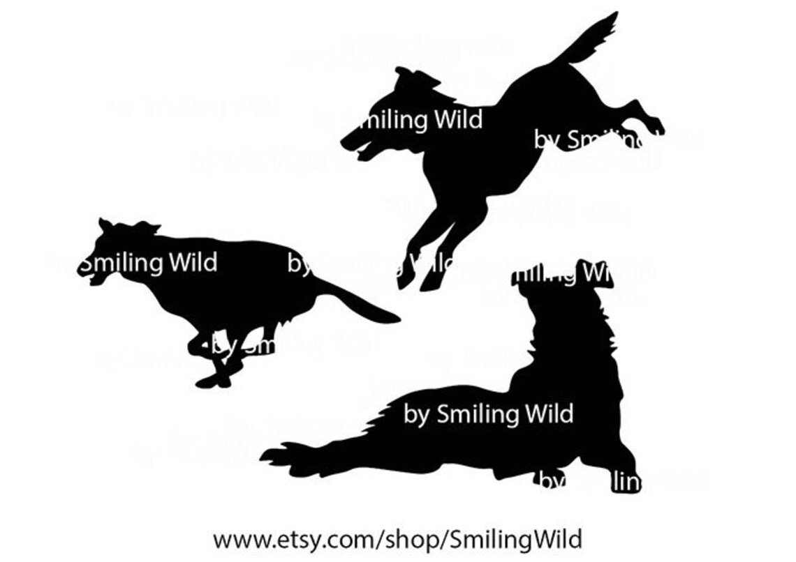 Smooth Collie Dog SVG & PNG Silhouette Clipart Bundle Vector Graphic ...