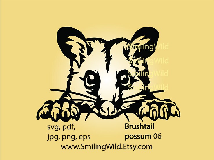 Common Brushtail Possum Svg, Australian Animal Cuttable Clip Art File ...