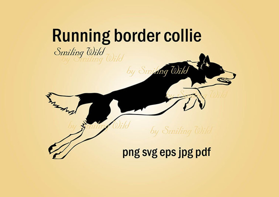 Running Dog Svg Vector Graphic Art Border Collie Svg Clipart - Etsy