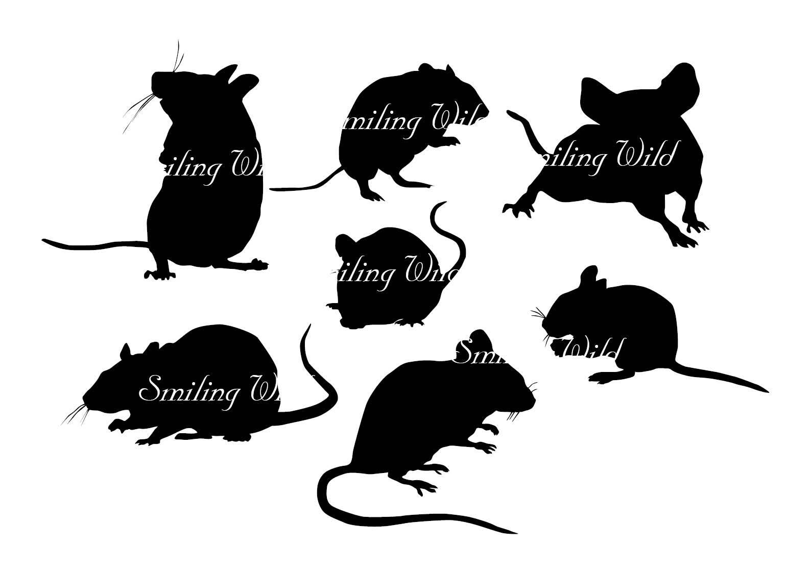 Mouse Svg Silhuette Mice Clipart Realistic Mouse Vector - Etsy Singapore