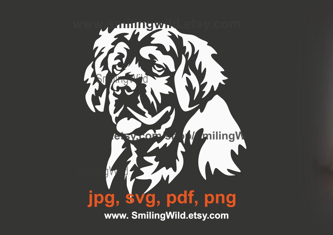 Clumber Spaniel Svg Clip Art - Etsy