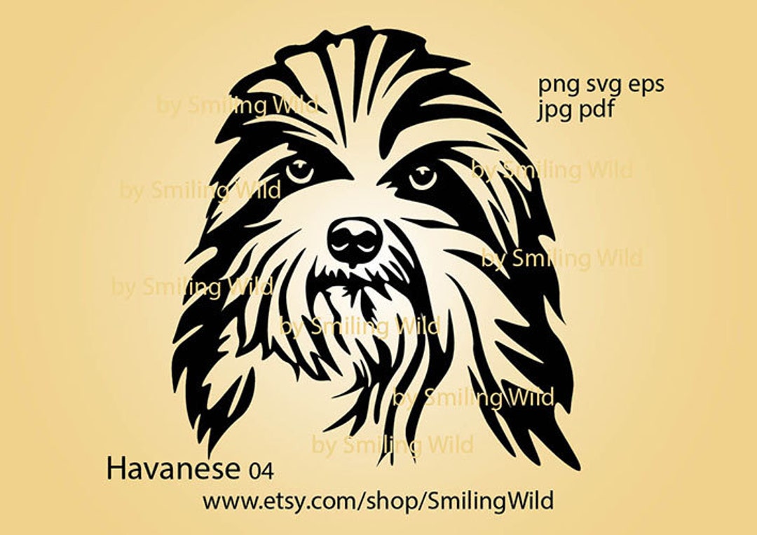 Havanese Svg Portrait Dog Face Head Havanese Vector Graphic - Etsy