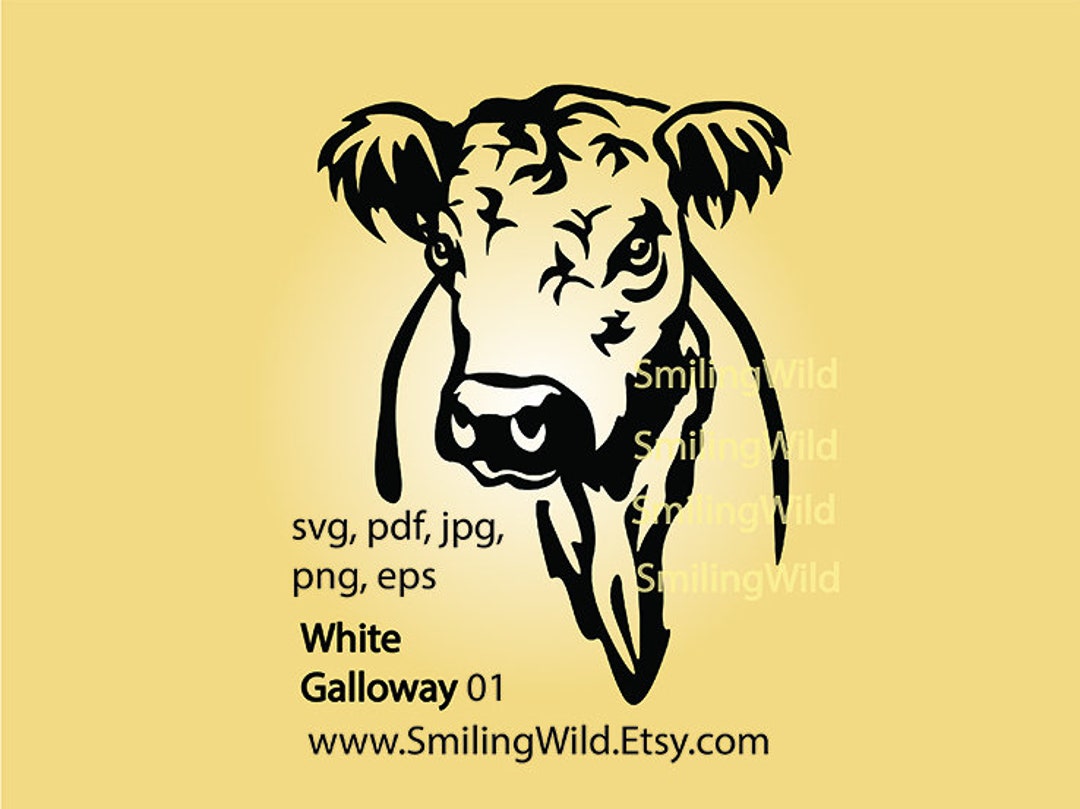 White Galloway Cow Svg Portrait, Galloway Cattle Clip Art Design File ...