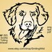 Toller Dog Svg Clipart Portrait Head Nova Scotia Duck Tolling Retriever ...