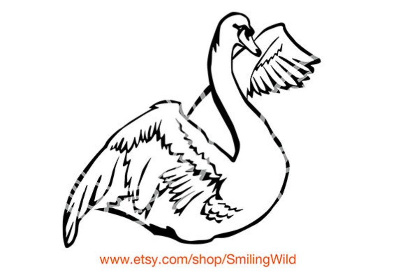 Swan Svg Bird Cut File Waterfowl Clipart Vector Graphic Art | Etsy