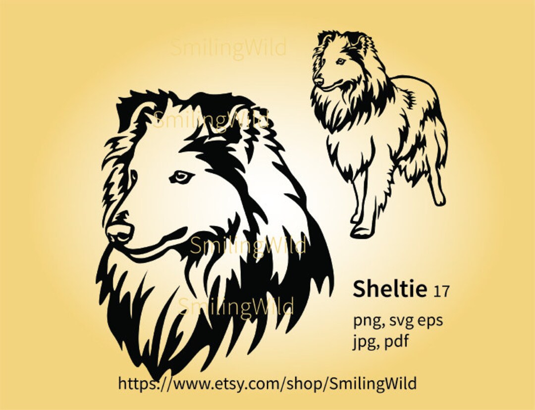 Sheltie Face Svg Clip Art, Shetland Sheepdog Vector Graphic Digital ...