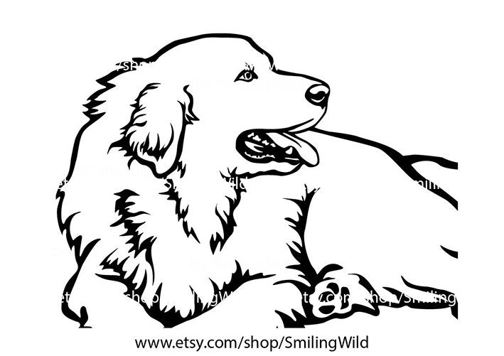 Great Pyrenees Svg Portrait Vector Art, Great Pyrenees Cut File ...