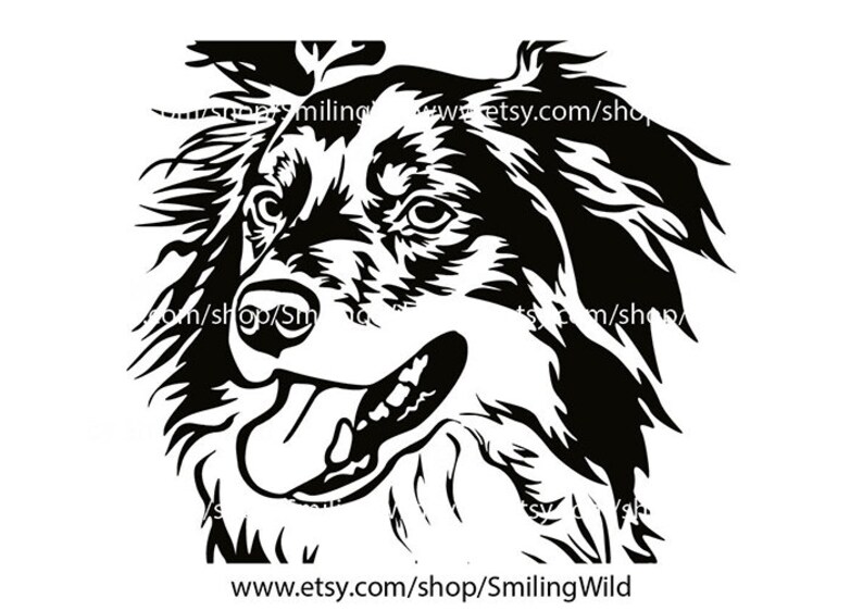 Border Collie Svg Face Artwork /12/ Cute Dog Head Vector - Etsy
