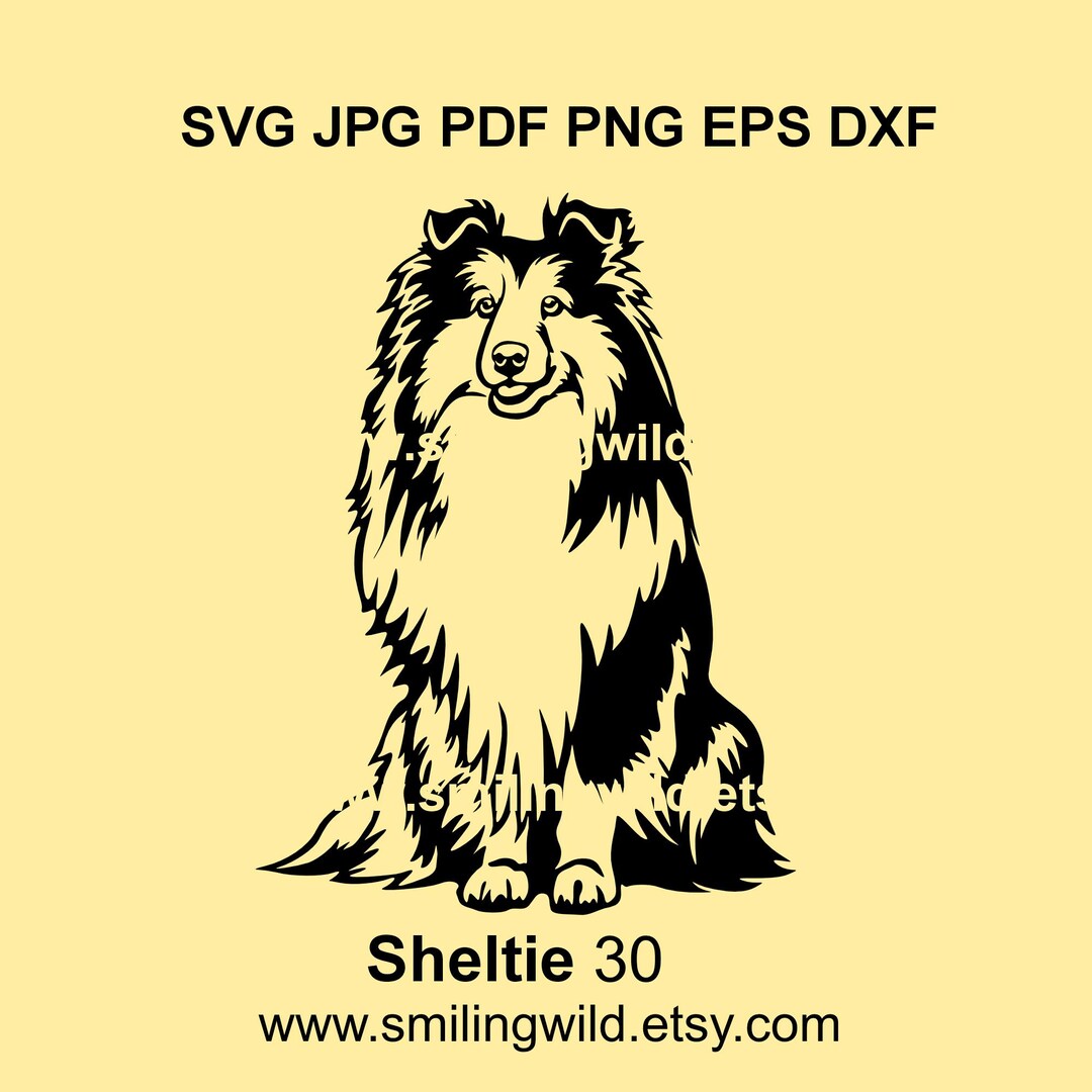Cute Sitting Sheltie Clipart SVG PNG DXF – Realistic Shetland Sheepdog ...