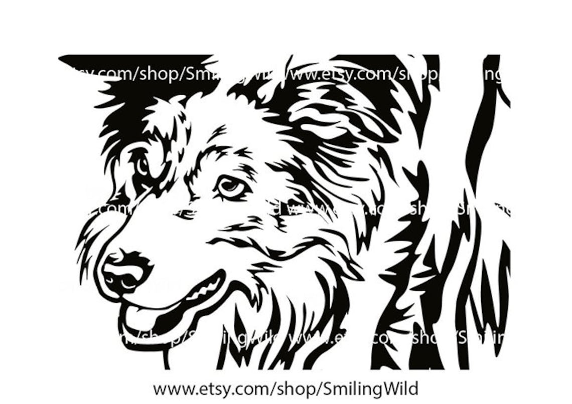 Working Border Collie svg /11/ herding dog vector graphic art | Etsy