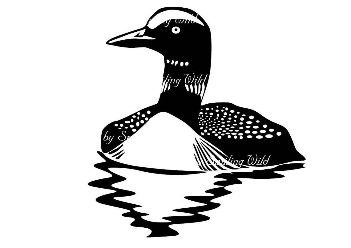 Loon Svg Diver Clipart Vector Graphic Art Loon Printable Waterfowl Svg ...
