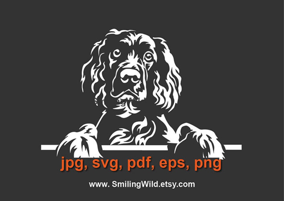 Springer Spaniel Svg Cuttable Digital Clip Art, Peeking English ...