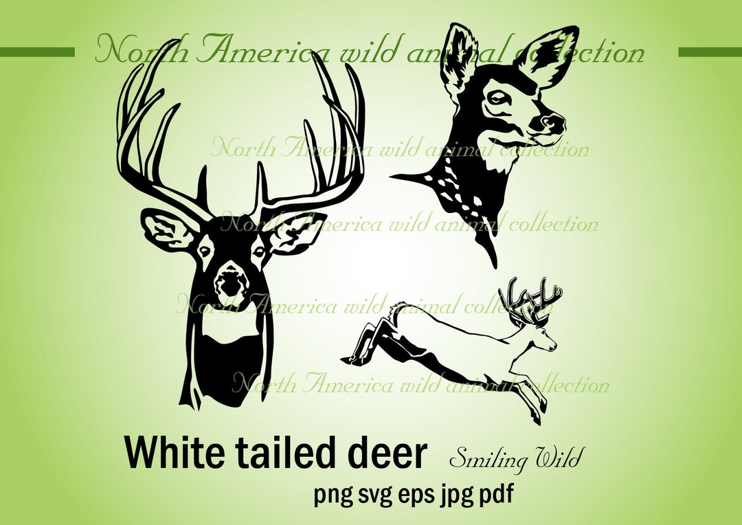 White Tailed Deer Svg Clipart Cut File Vector Graphic Art Deer Fawn Art ...
