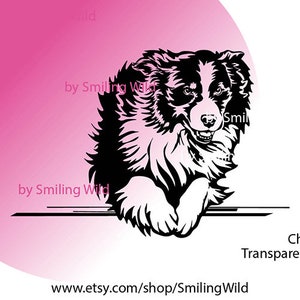 Australian Shepherd Svg Dog Agility Jump Vector Graphic Art Australian ...