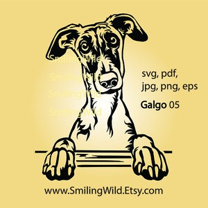 Galgo Dog Svg Clip Art Design Peeking Dog Galgo Head Vector - Etsy