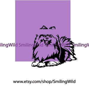 Medium German Spitz Svg Cuttable Digital Clip Art Design, Lying Spitz ...
