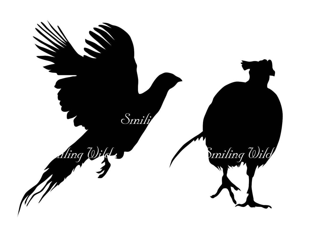 Pheasant Svg Silhouette Clipart Bird Cut File Cricut Printable | Etsy