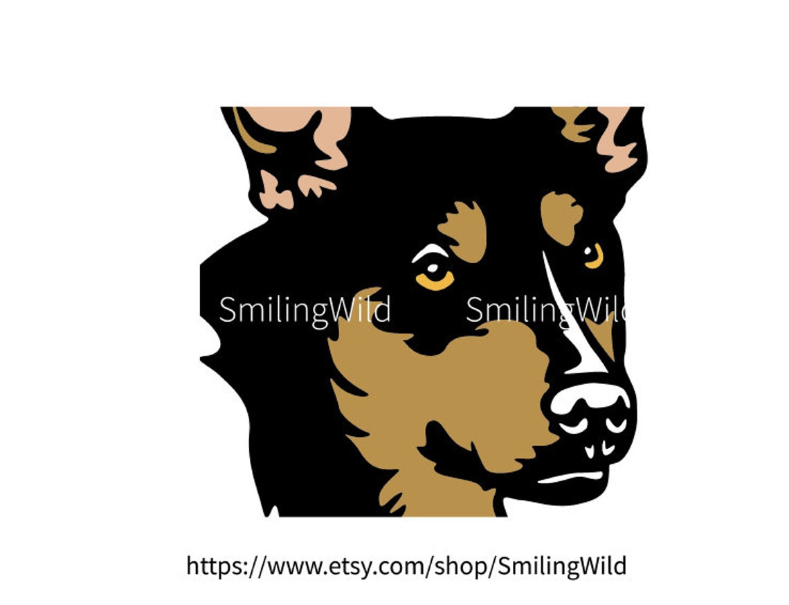 Australian Kelpie Svg Dog Clip Art Illustration Kelpie Vector - Etsy
