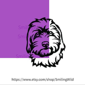 Havapoo Svg Vector Graphic Design, Havadoodle Cuttable Digital Clip Art ...