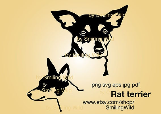 Rat terrier svg clipart cut file cuttable vector graphic art | Etsy