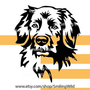 Stabyhoun Svg Dog Vector Graphic Art Stabyhoun Portrait Dog - Etsy