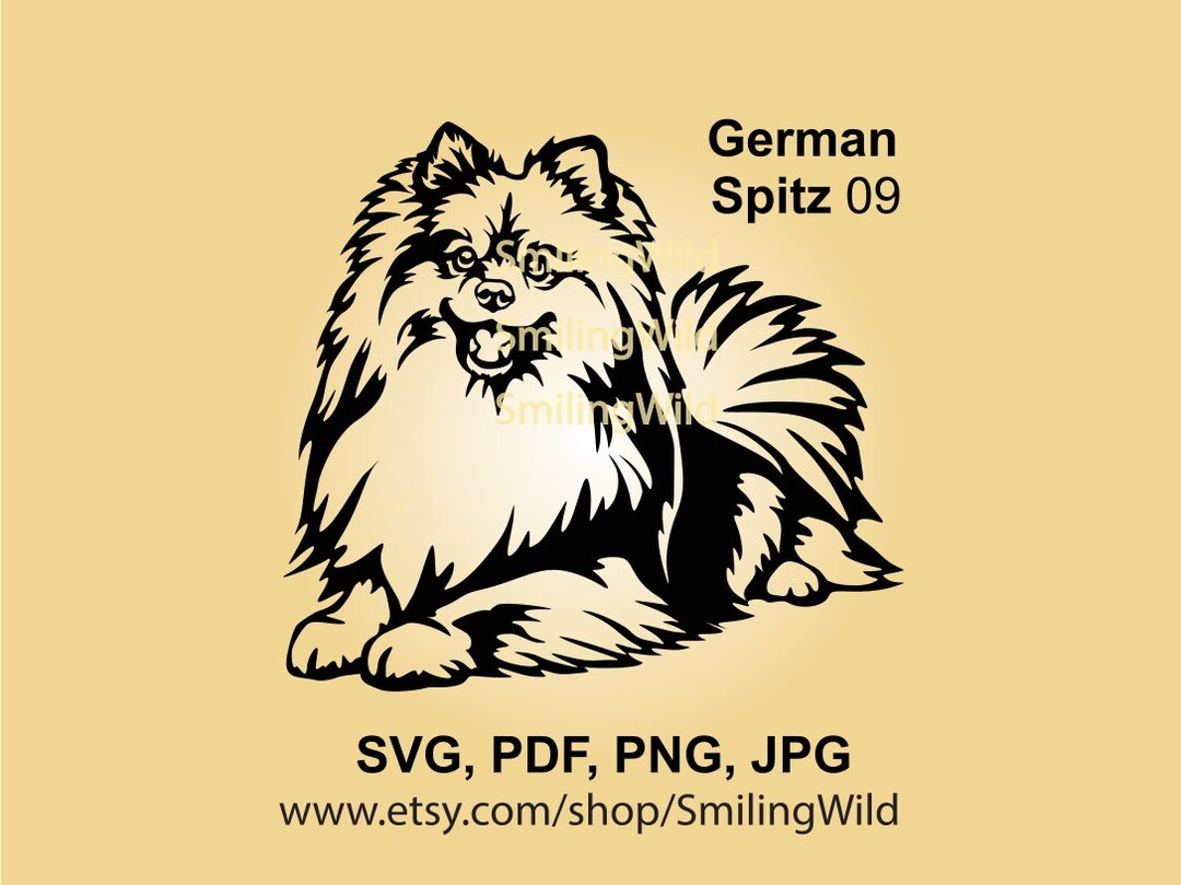 Medium German Spitz Svg Cuttable Digital Clip Art Design, Lying Spitz ...