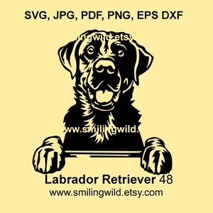 Cute Black Lab SVG & PNG, DXF Clipart - Realistic Hunting Dog Labrador ...