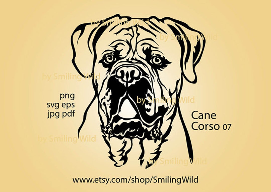 Cane Corso Svg Clipart Dog Head Portrait Cane Corso Cut File Dog Head ...