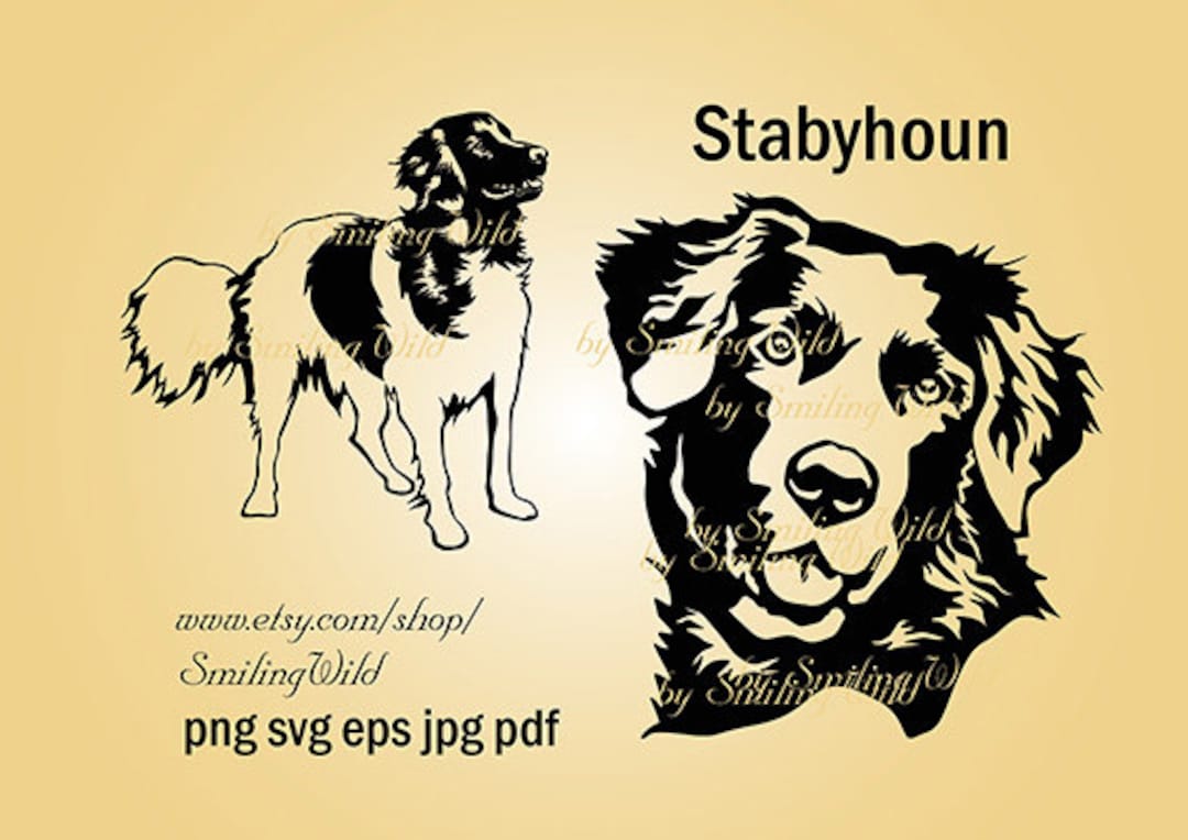 Stabyhoun Svg Vector Graphic Art Frisian Pointer Clipart Stabyhoun Png ...