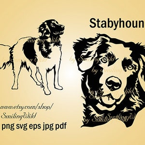 Stabyhoun Svg Vector Graphic Art Frisian Pointer Clipart Stabyhoun Png ...