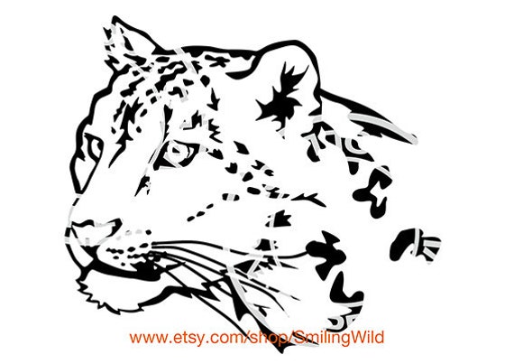 Snow Leopard Vector