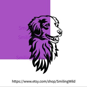 Toller Dog Face Svg Png Clip Art, Nova Scotia Duck Tolling Retriever ...