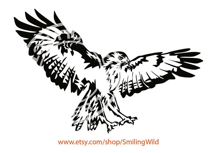 Flying Bird Buzzard Svg Vector Graphic Art Buzzard Birds of - Etsy