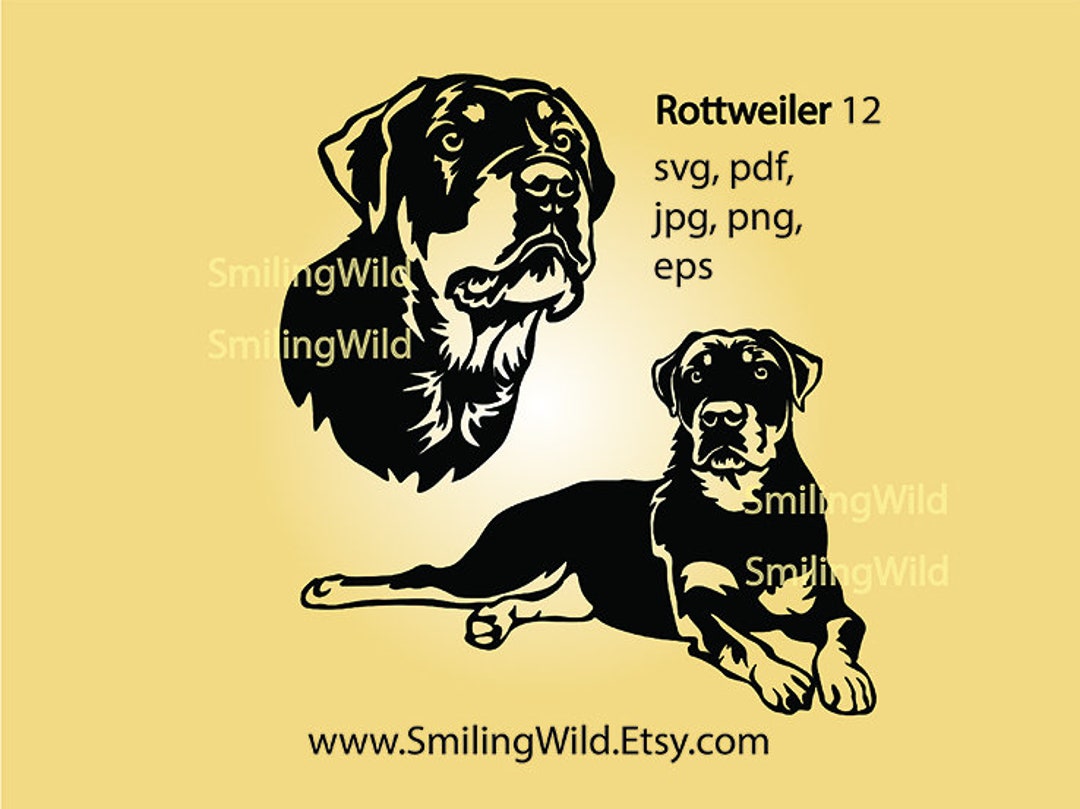 Rottweiler Svg Clipart Vector Graphic Art Rottweiler Portrait - Etsy