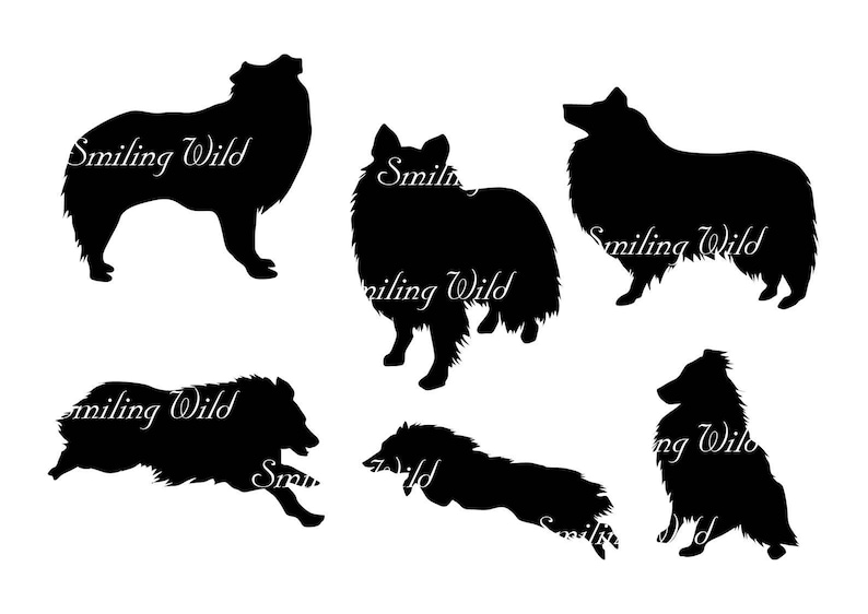 Sheltie Dog Svg & Png Silhouette Bundle - Clipart Shetland Sheepdog ...