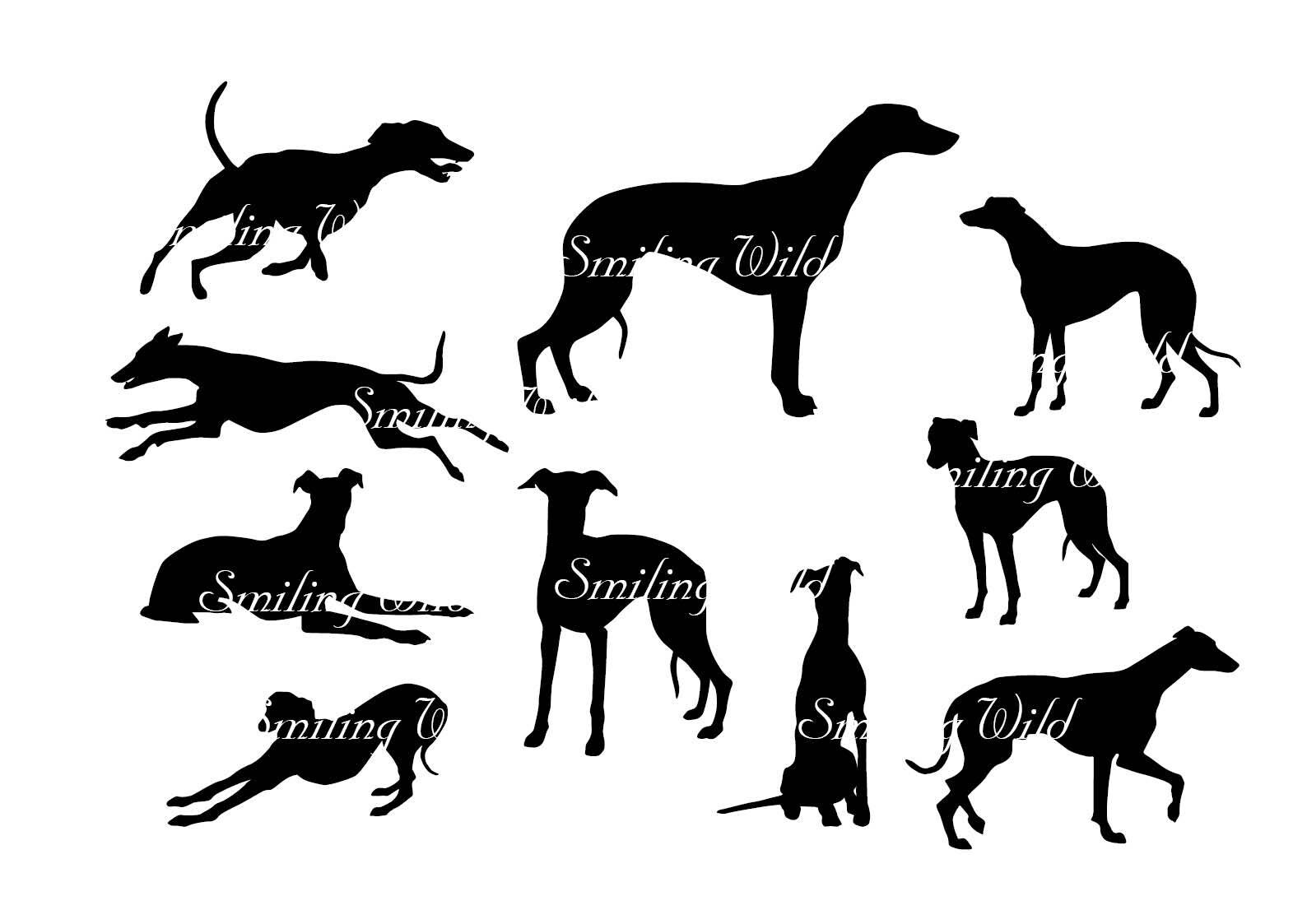 Whippet Vector Graphic Art Svg Silhouette Printable Png - Etsy