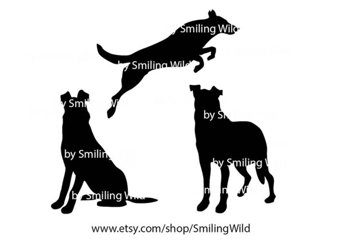 Smooth Collie Dog SVG & PNG Silhouette Clipart Bundle Vector Graphic ...