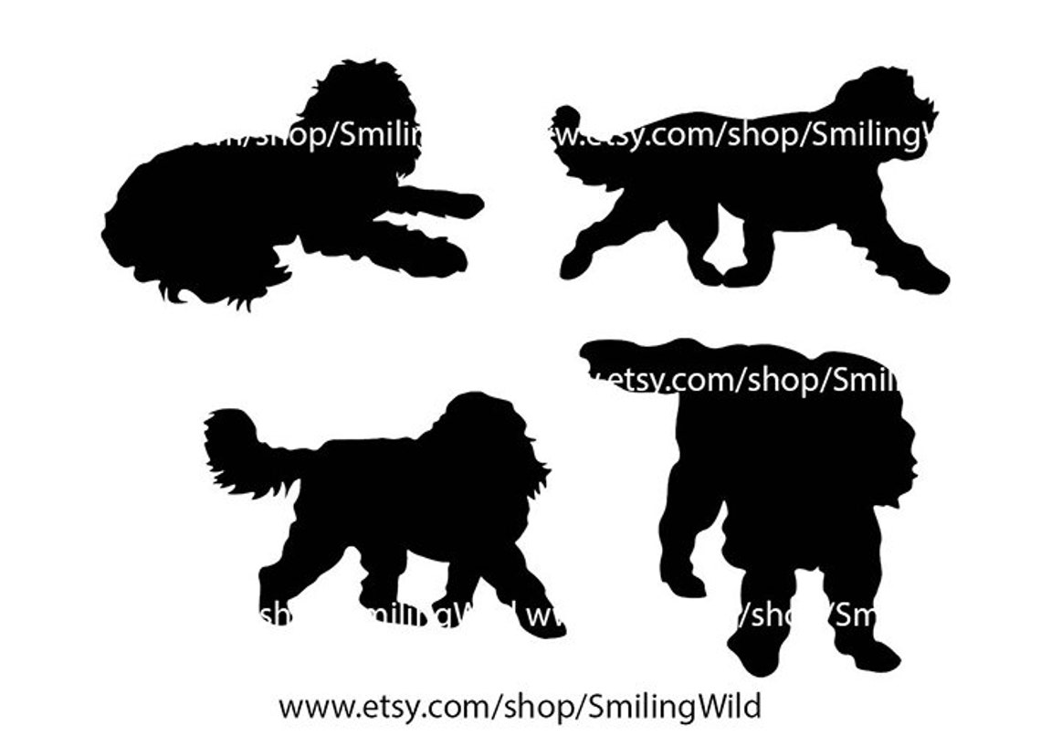 Cockapoo Svg Silhouette Dog Vector Graphic Art Cockapoo Cut - Etsy