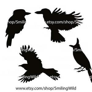 Australia Birds Svg Emu Vector Cassowary Silhouette Bulbul Cocaburra ...