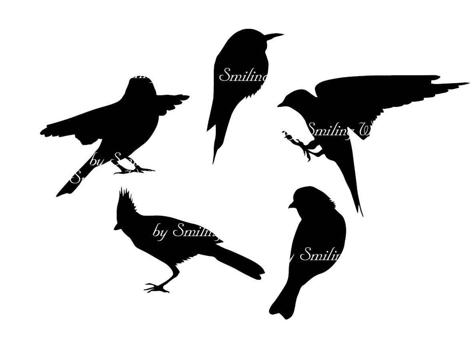 Flying Bird Svg Clipart Silhouette Songbird Silhouettes Vector - Etsy